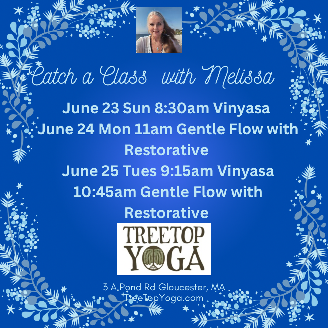 Catch a Yoga Class with me @TreeTopYoga – Melissa Abbott Practitioner Teacher Yoga Meditation